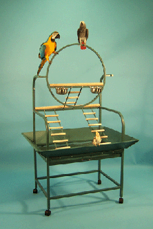 Parrot Playstands: Bird Playstands, Bird Play Pens, and Bird Play Gyms